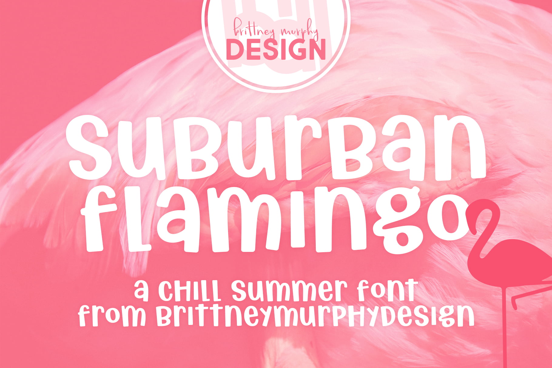 Suburban Flamingo Font - MakersType