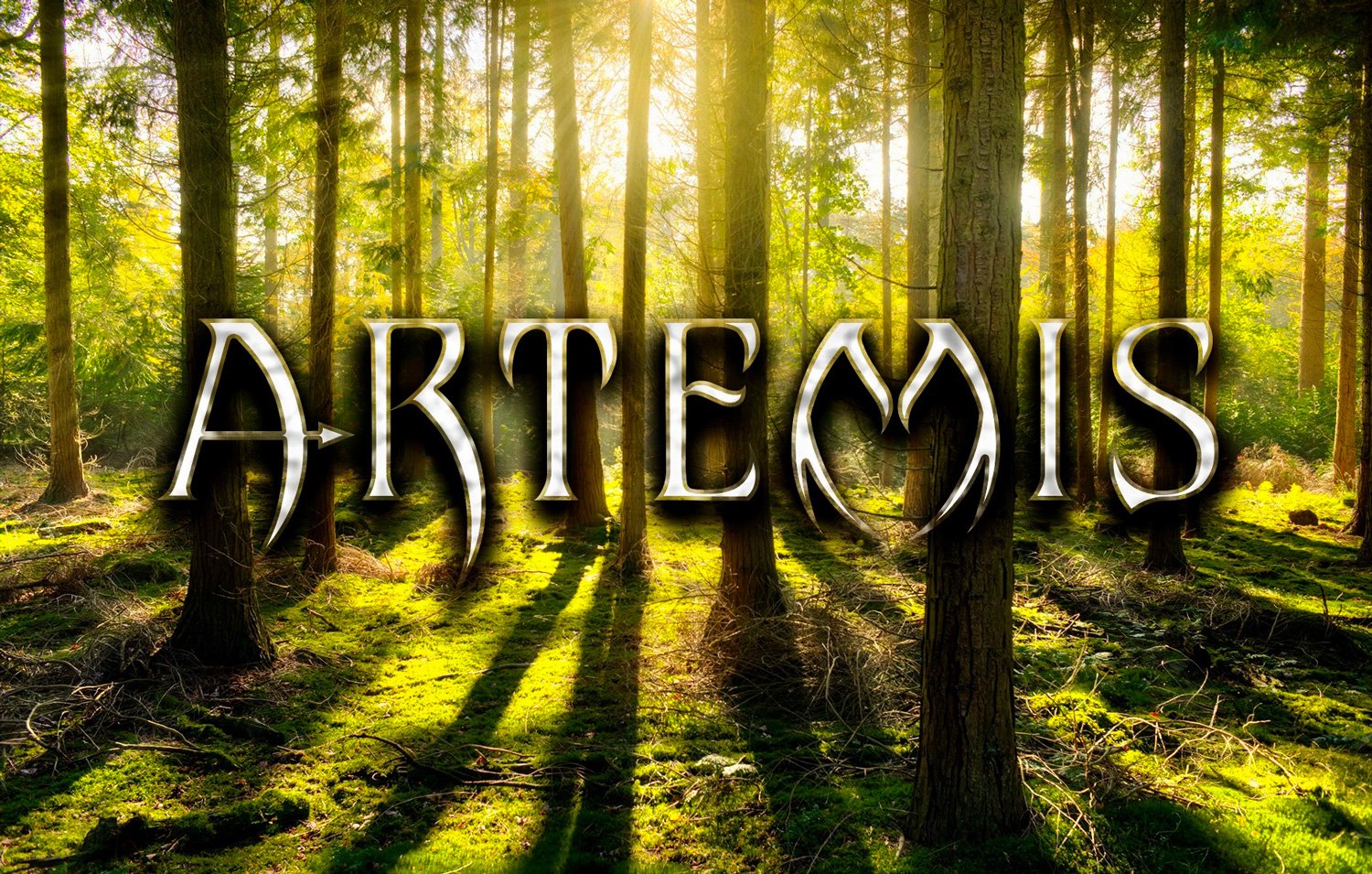 Artemis - MakersType