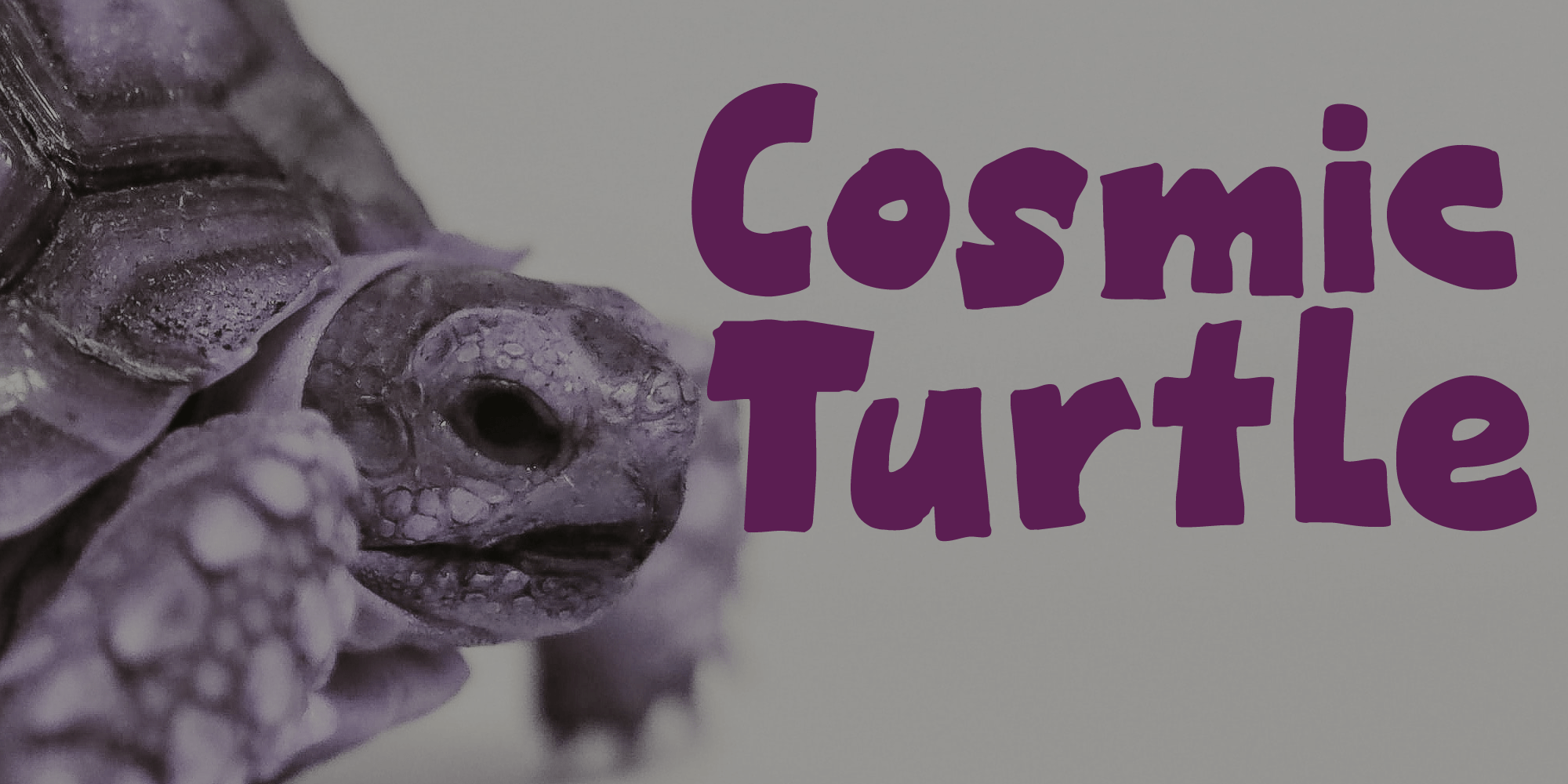Cosmic Turtle - MakersType